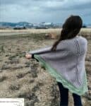 Spring Awakening Shawl- Knitting Pattern – Clover Needlecraft